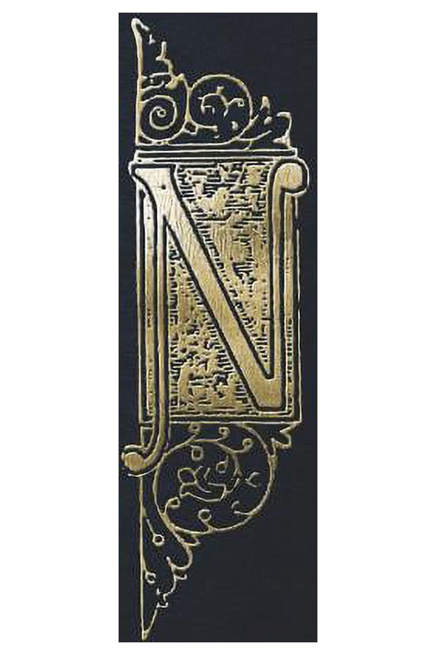 Notebook: Art Nouveau Initial N - Gold on Black - Lined Diary / Journal ...