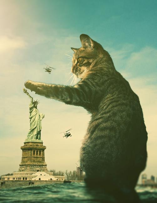 Notebook: Fantasy Cat Statue of Liberty New York United States 8.5" x ...