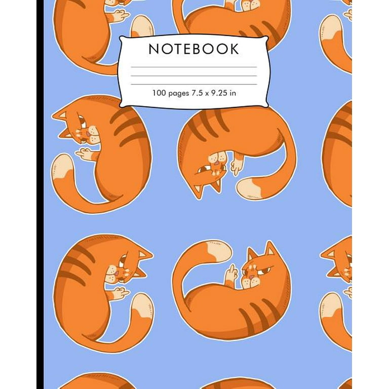Writing Notebooks Cool