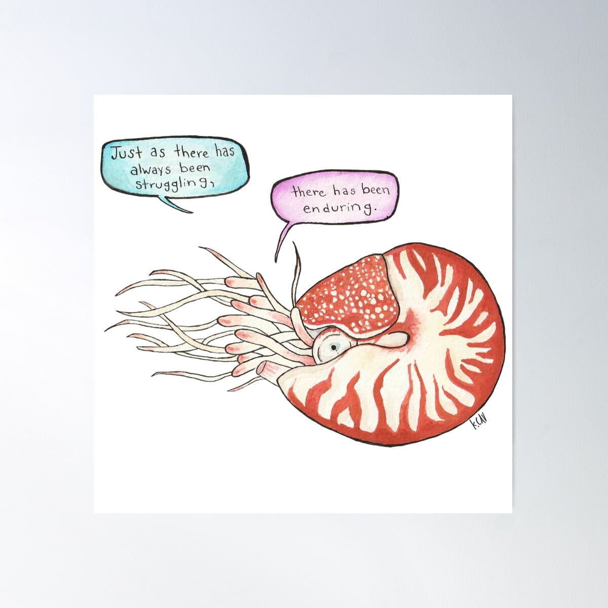 Notes On Evolution From A Nautilus (Nautilus Pompilius) Poster Wall Art ...