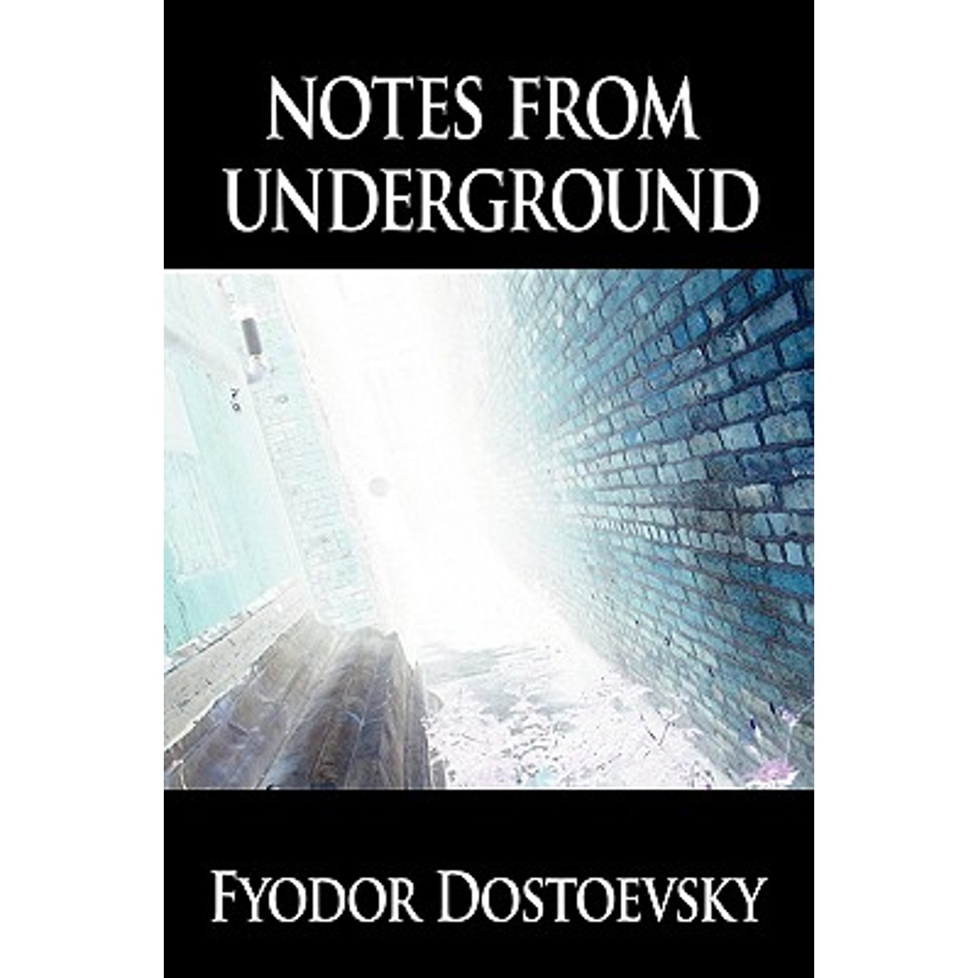 Notes from Underground (Hardcover) - Walmart.com