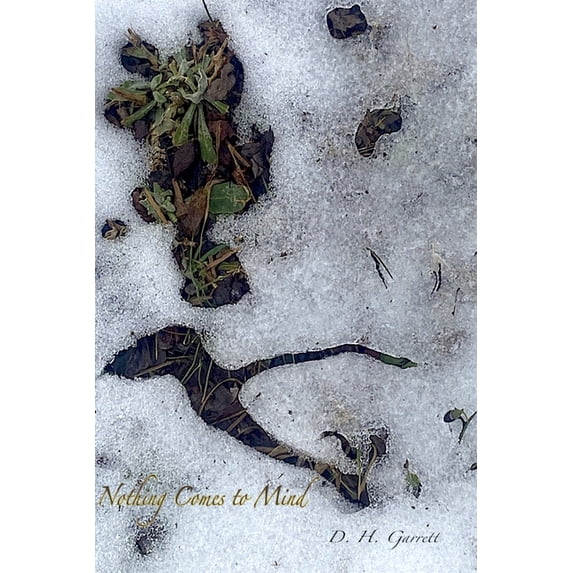 Nothing Comes to Mind, (Paperback) - Walmart.com