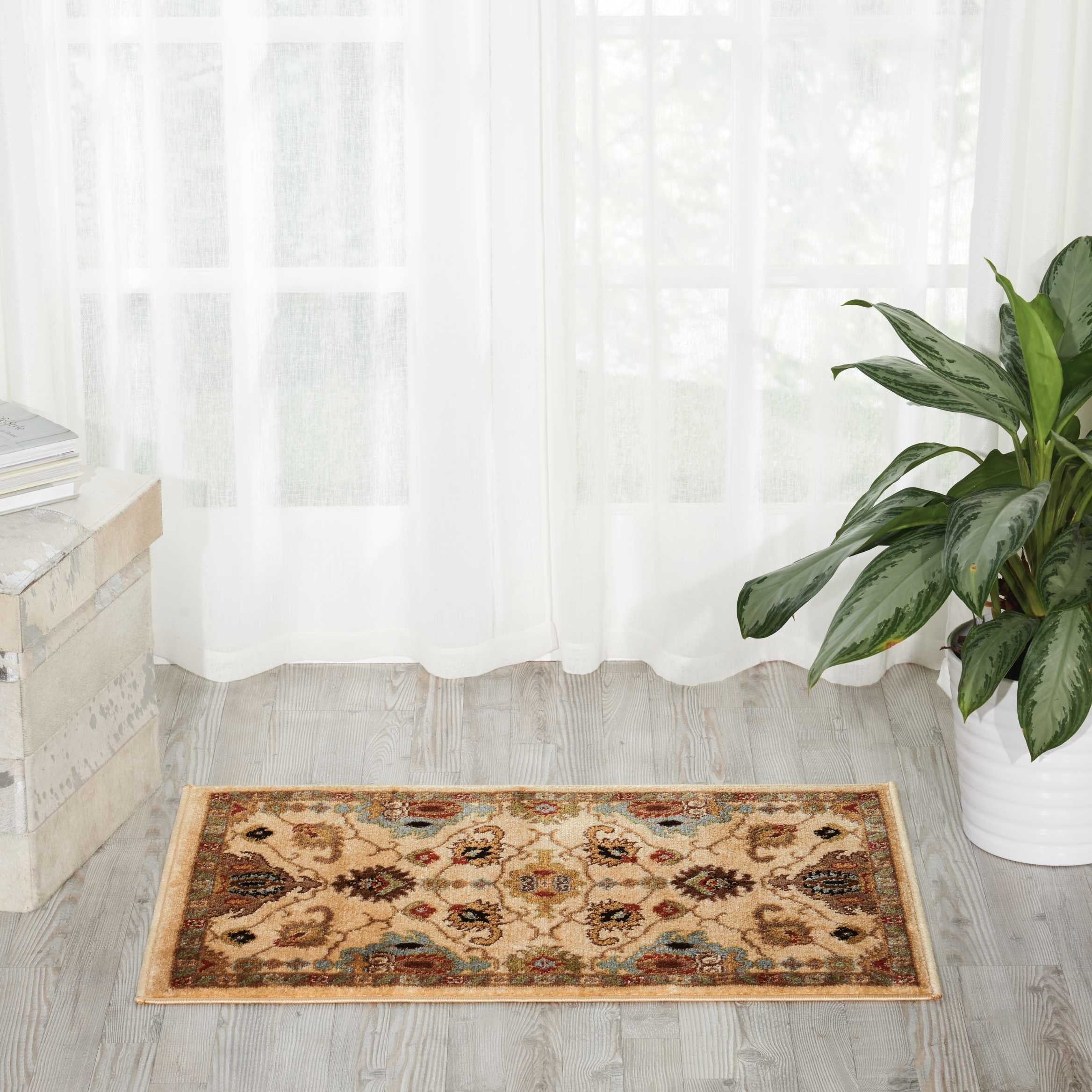 Nourison Delano Traditional Ivory 2' x 3' Area Rug, (2x3) - Walmart.com