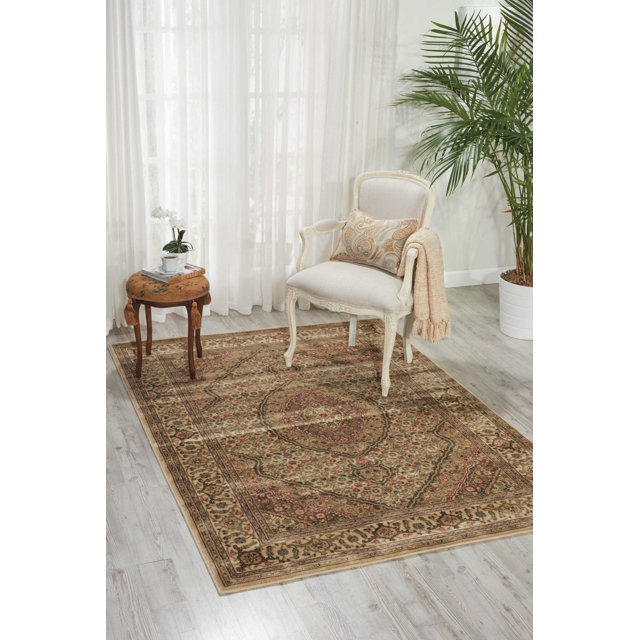 Nourison Persian Arts Oriental Bordered Ivory Area Rug - Walmart.com