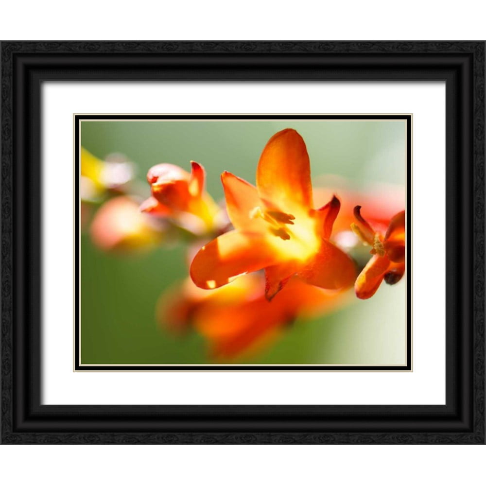 Nourock, Jonathan 24x19 Black Ornate Wood Framed with Double Matting ...