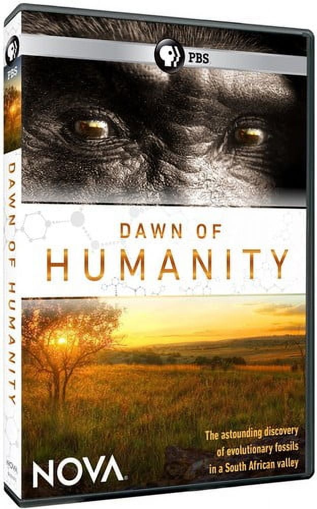 Nova: Dawn of Humanity (DVD), PBS (Direct), Documentary - Walmart.com