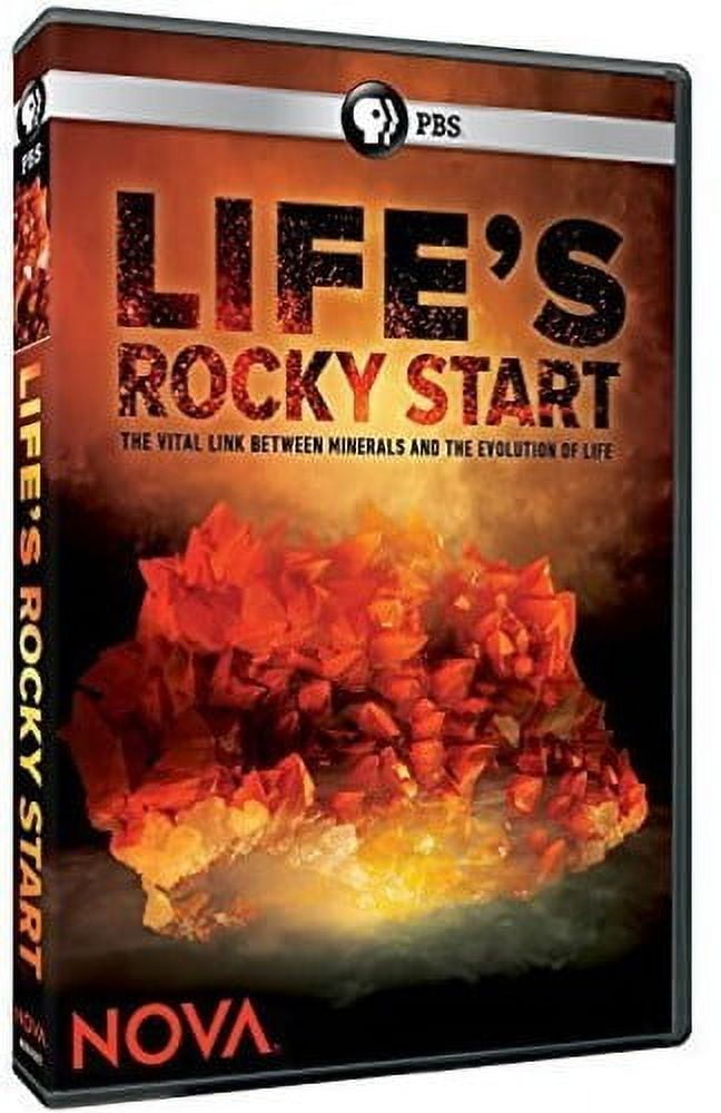 Nova: Life's Rocky Start (DVD), PBS (Direct), Documentary - Walmart.com