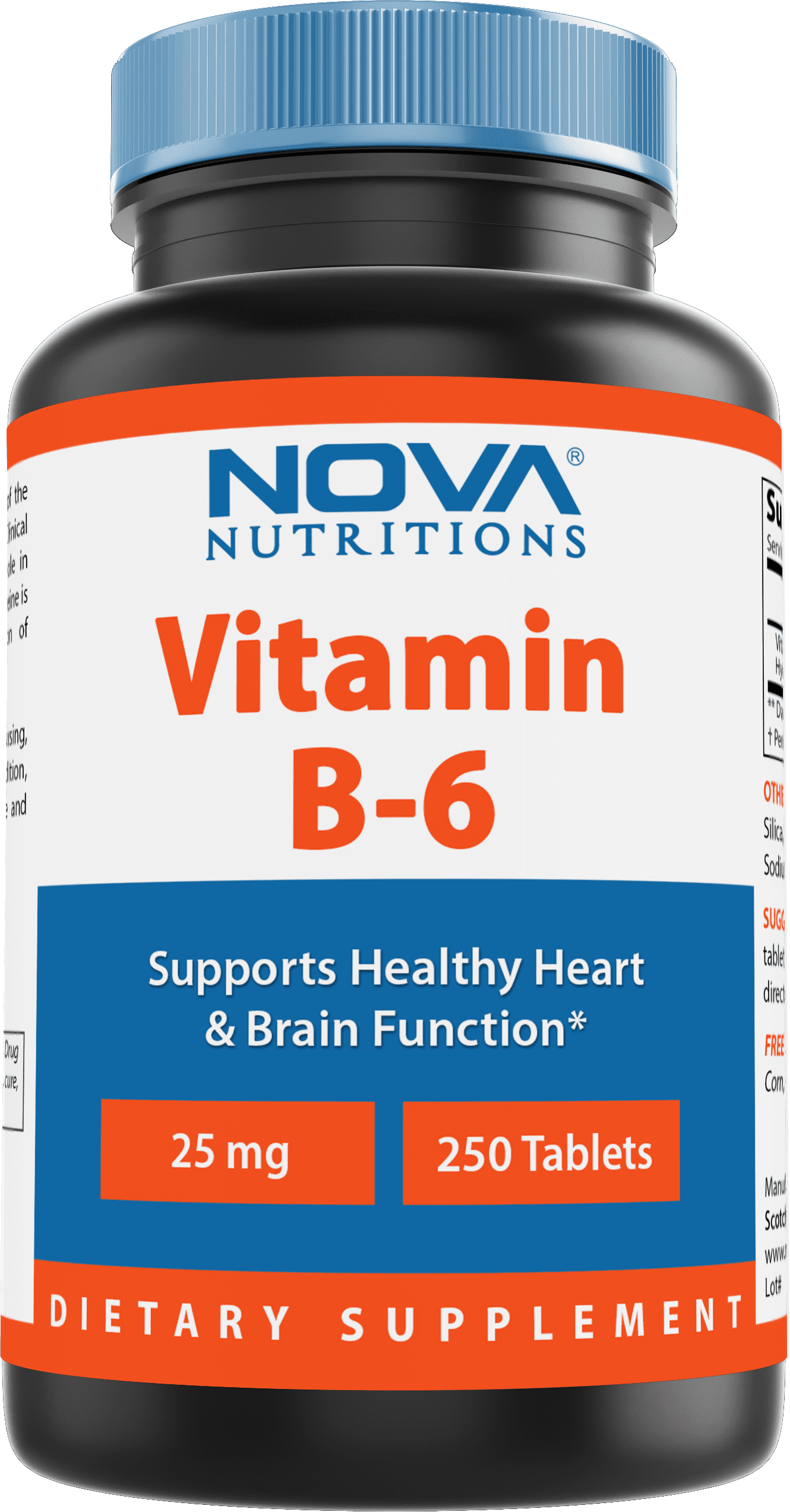 Nova Nutritions Vitamin B6 25 mg - Supports Healthy Nervous System ...
