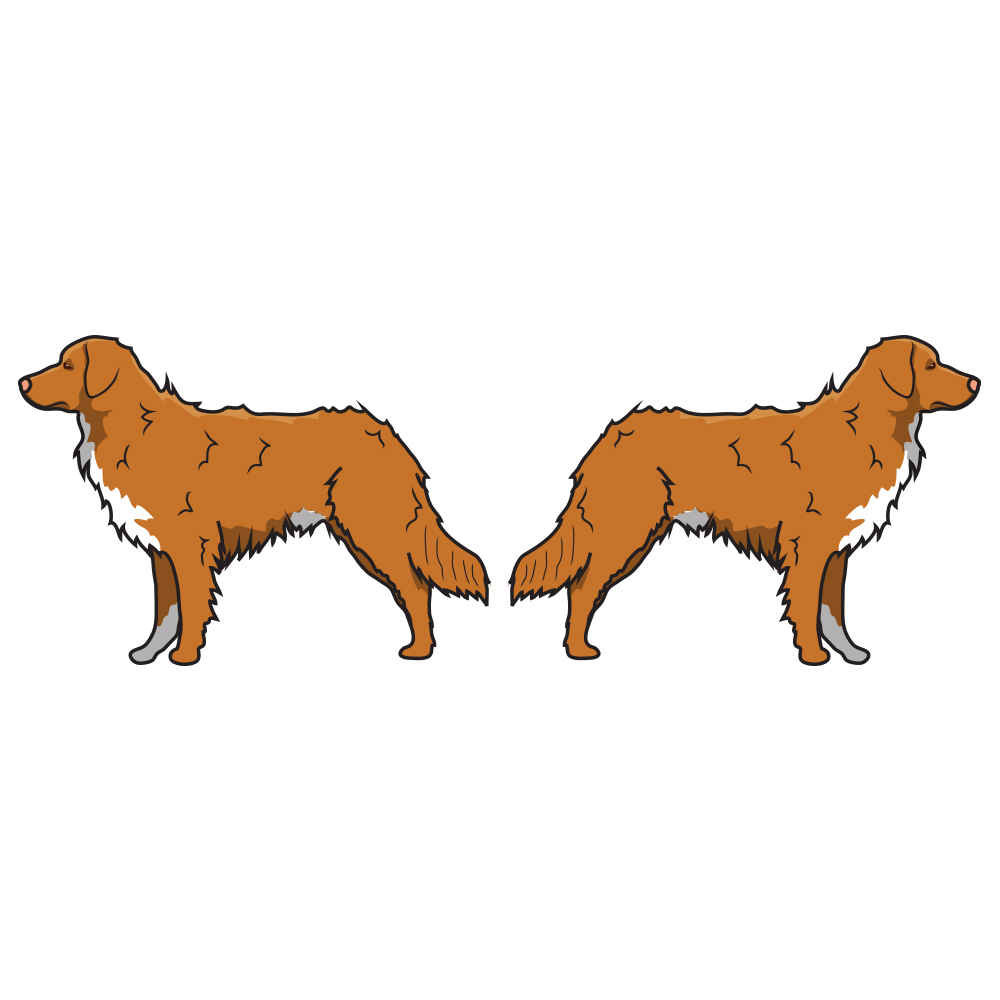 Nova Scotia Duck Tolling Retriever Decal | Indoor/Outdoor | Dog Lover ...