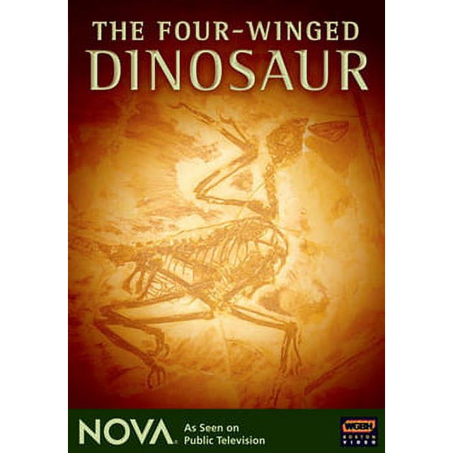 Nova: The Four-Winged Dinosaur (DVD) - Walmart.com