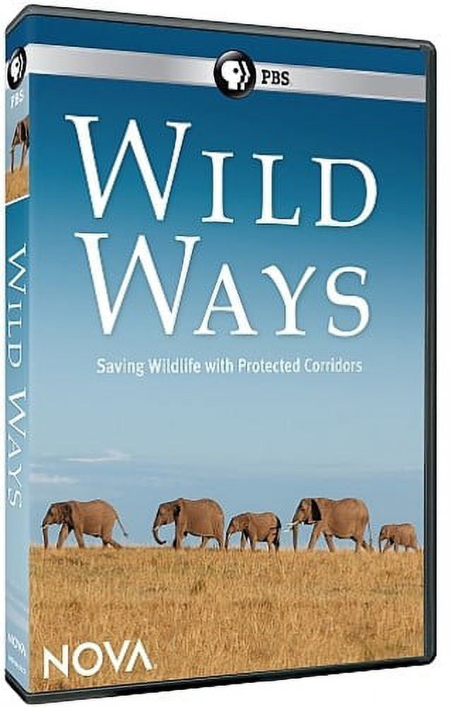 Nova: Wild Ways (DVD), PBS (Direct), Special Interests - Walmart.com