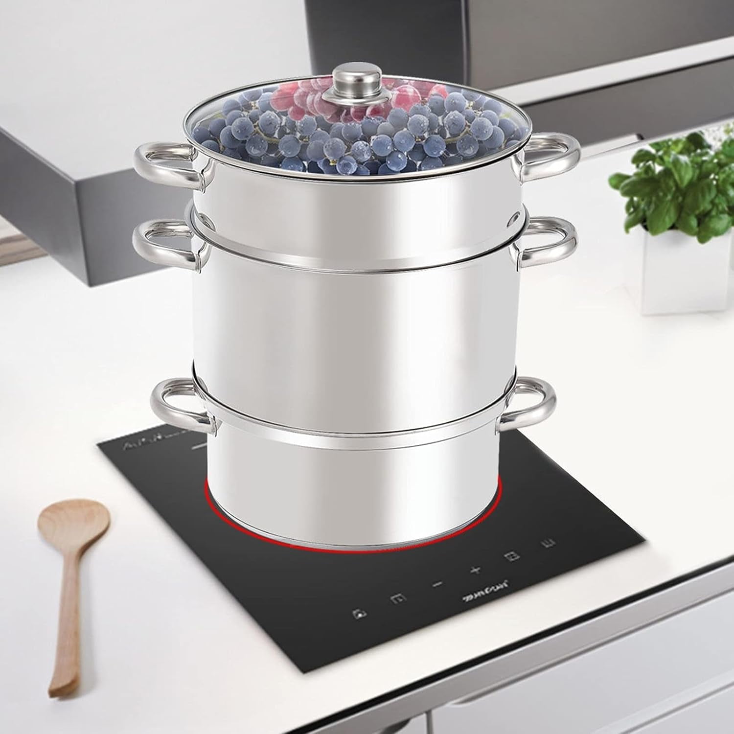 NovaCraft Fruit Steam Juicer Stainless Steel Steamer, Vegetables ...