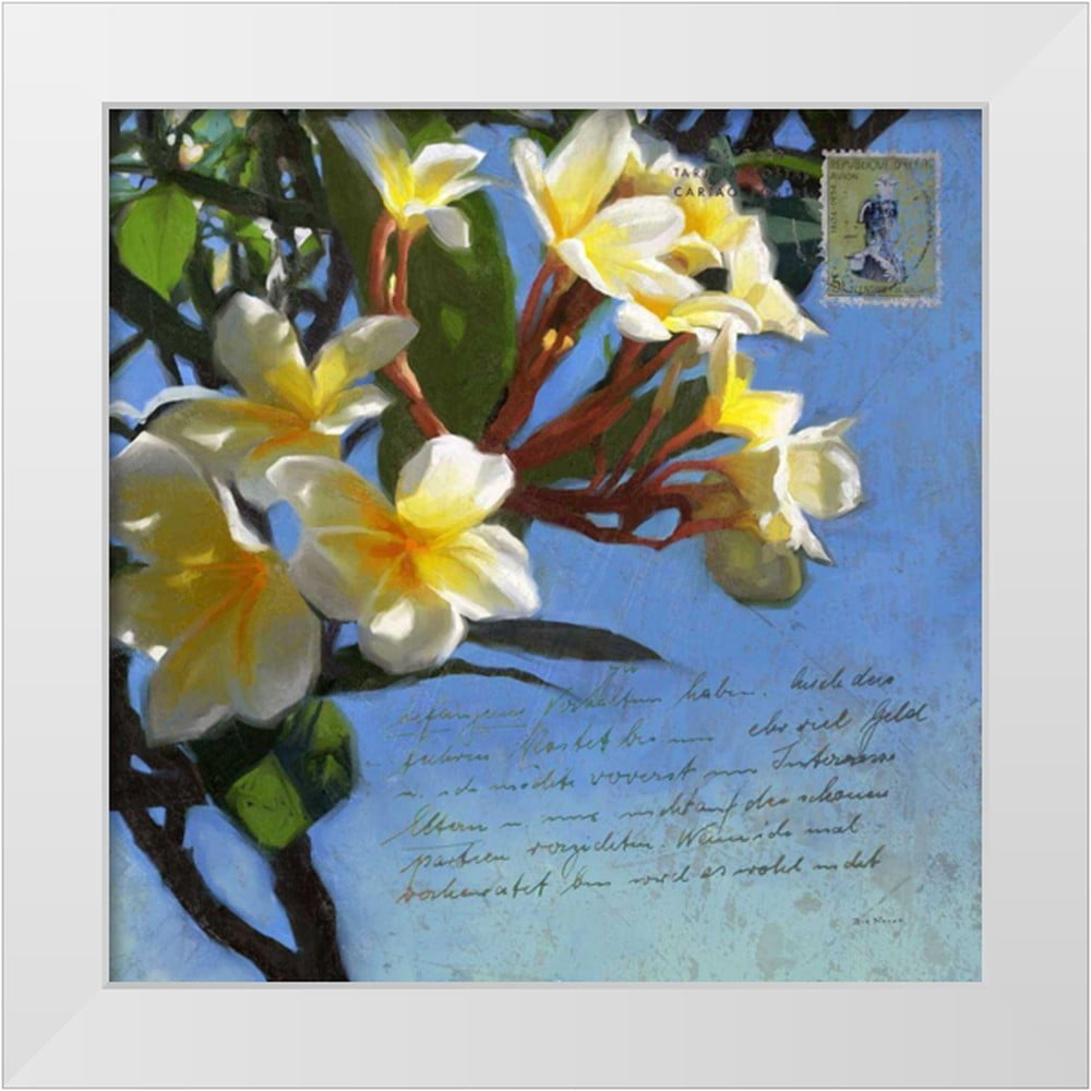 Novak, Rick 26x26 White Modern Wood Framed Museum Art Print Titled ...