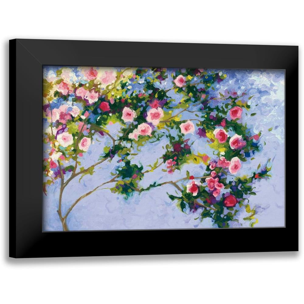 Novak, Shirley 24x17 Black Modern Framed Museum Art Print Titled ...