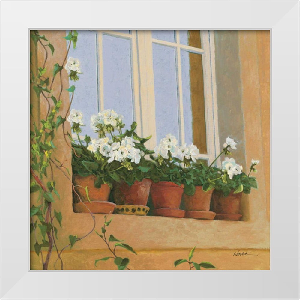 Novak, Shirley 26x26 White Modern Wood Framed Museum Art Print Titled ...