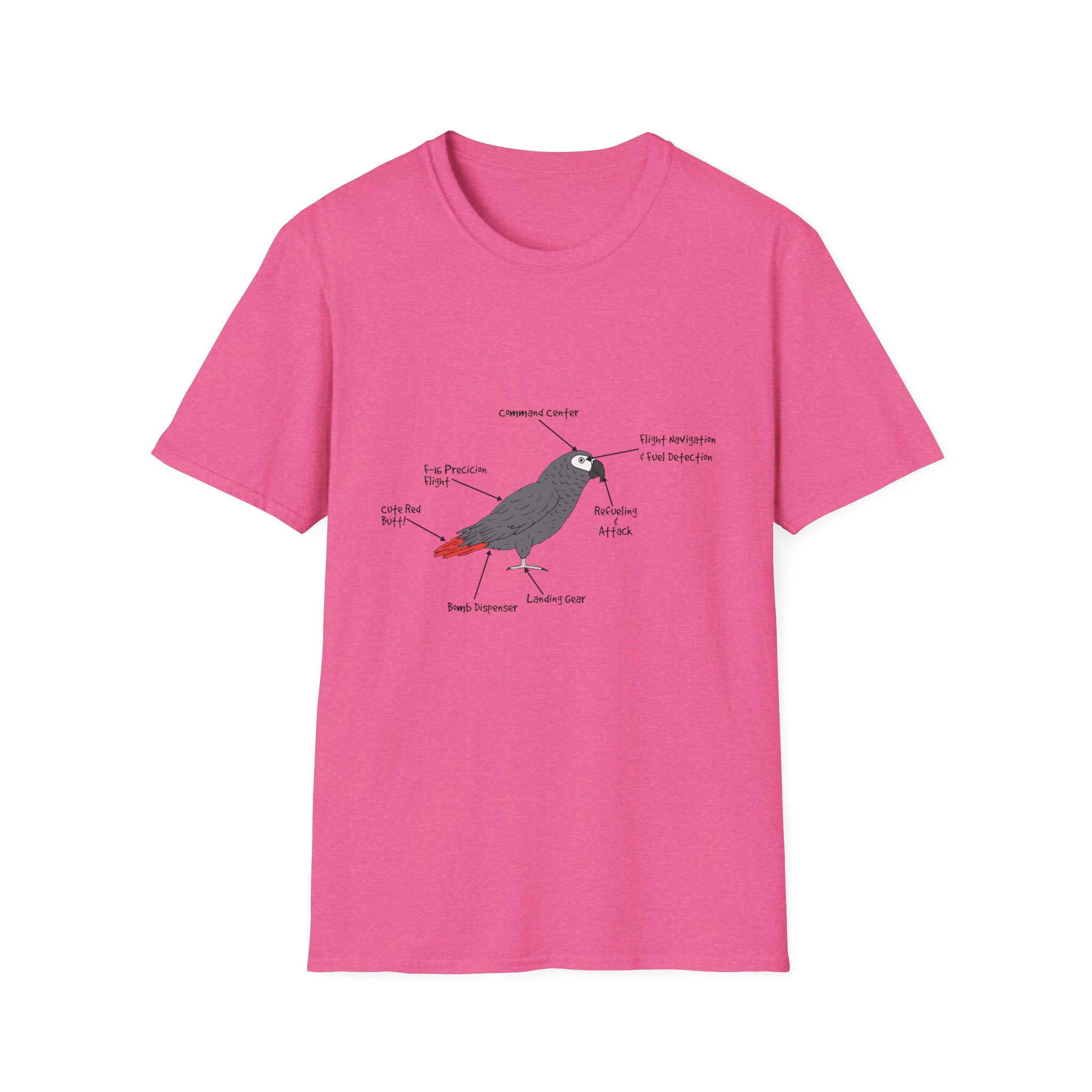 Novelty African Grey Parrot Anatomy Graphic Gift | Cute Birds ...