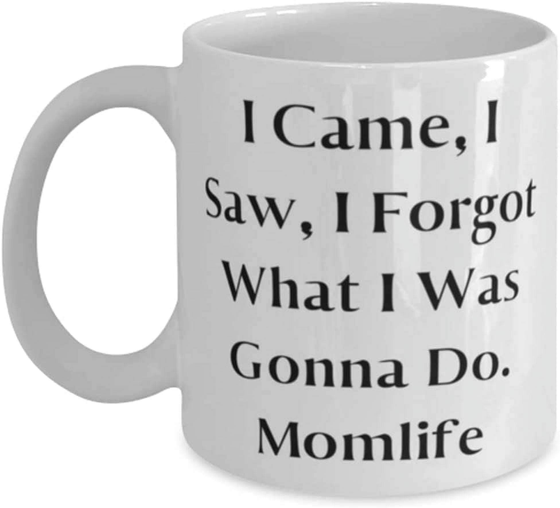 Novelty Coffee Mugs Funny Inappropriate Mother I Came I Saw I forgot ...