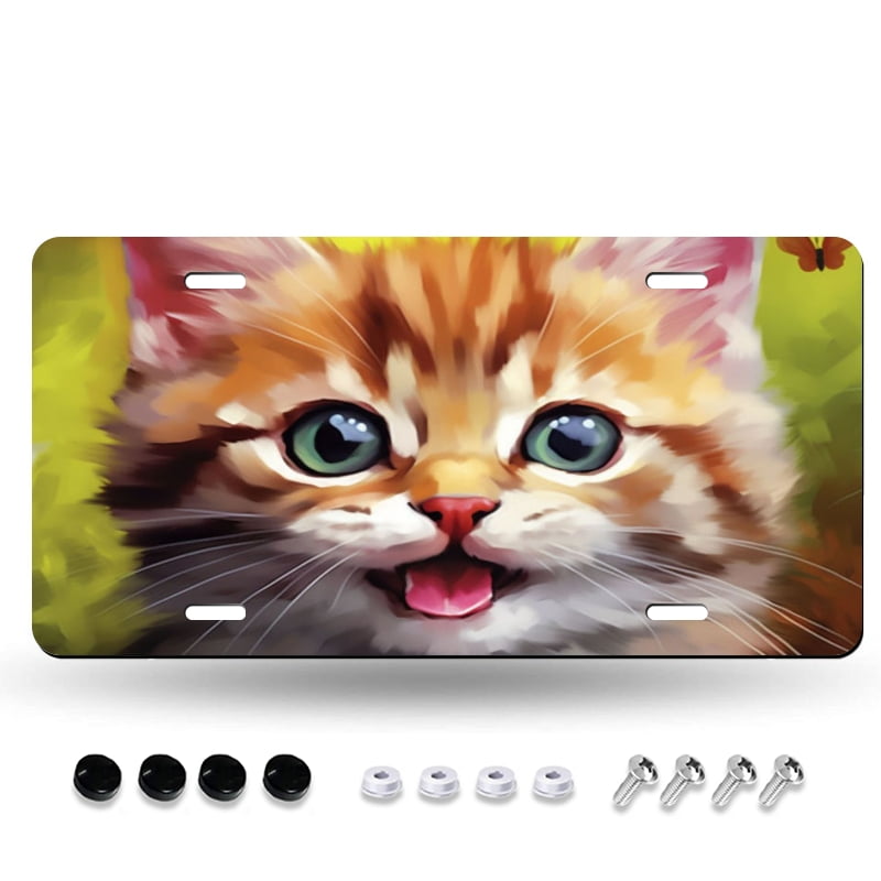 Novelty Decorative License Plate – Adorable Kitten with Big Green Eyes ...
