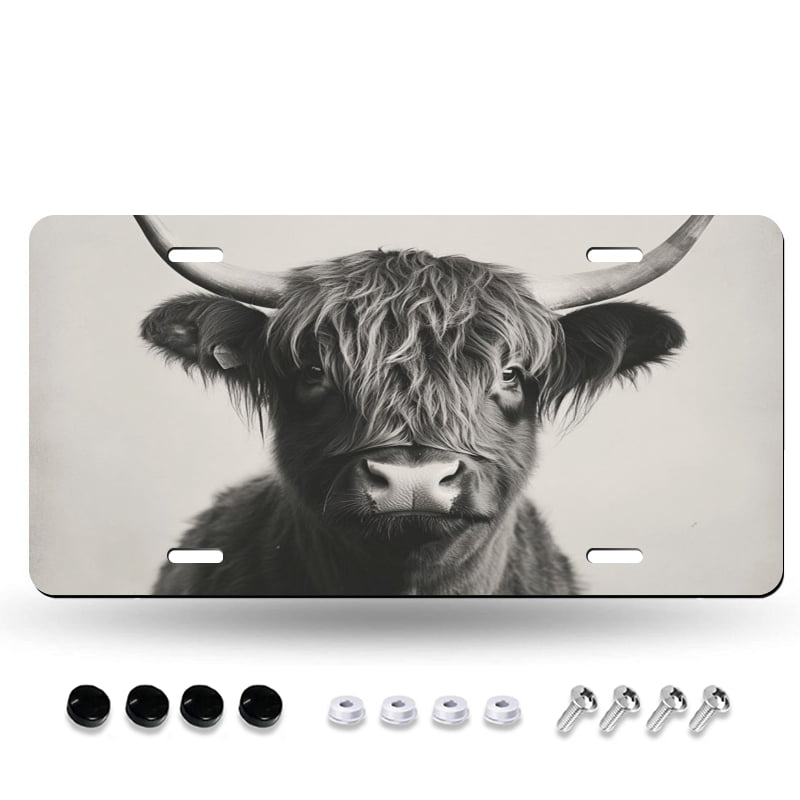 Novelty Decorative License Plate – Black and White Close - up of ...