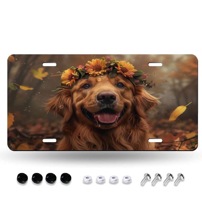 Novelty Decorative License Plate – Dog's Gentle Expression with a Fall ...