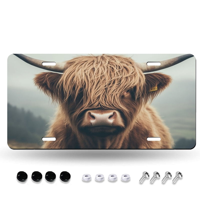 Novelty Decorative License Plate – Highland Cow with Long Hair and ...