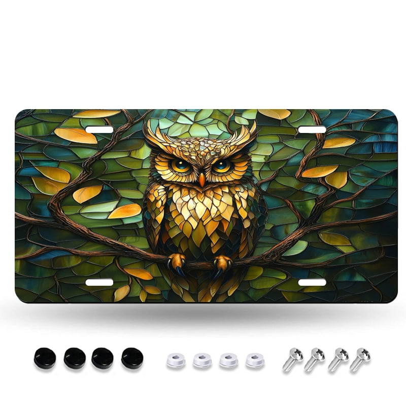 Novelty Decorative License Plate – Owl with a Glass like Feather ...
