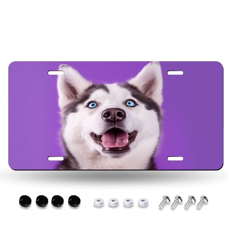 Novelty Decorative License Plate – Portrait of a Husky with Blue Eyes ...
