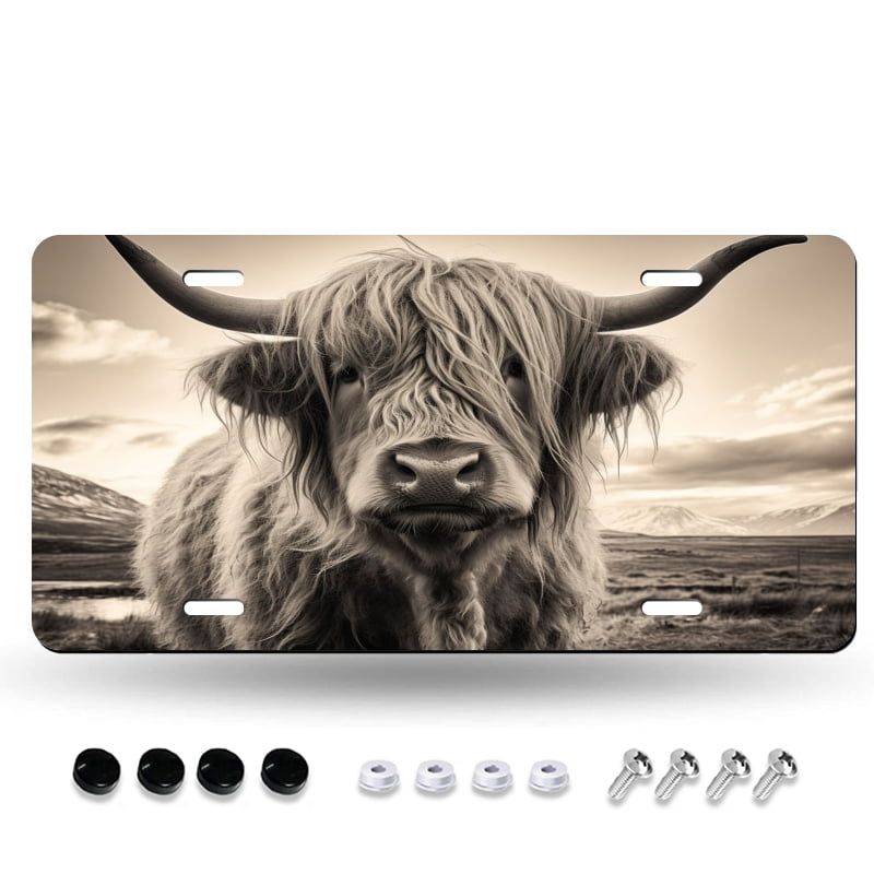 Novelty Decorative License Plate – Scottish Highland cattle Graceful ...