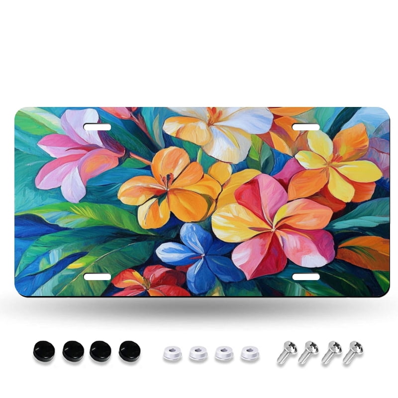 Novelty Decorative License Plate – The Lively Allure of a Multihued ...