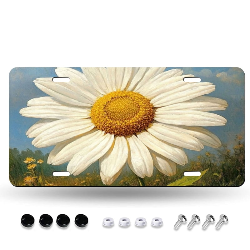 Novelty Decorative License Plate – White Daisy in a Blue - sky and ...