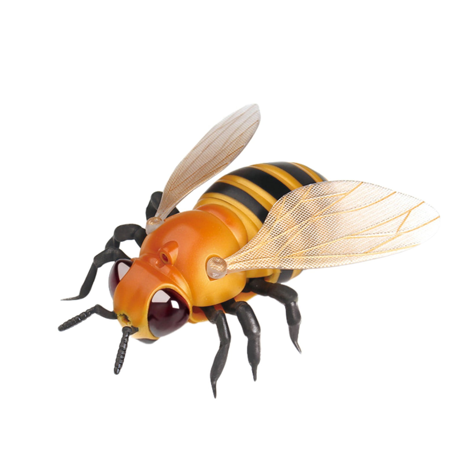 Novelty Infrared Remote Control Electric Insect Toys Electric Snail ...