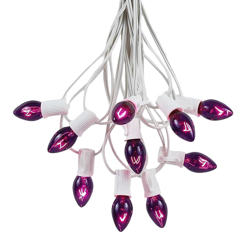 Novelty Lights 25 Foot C7 Twinkle Purple Christmas Light Set, Hanging ...