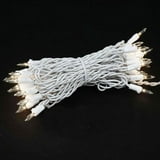 Novelty Lights 35 Light Clear Twinkle Christmas Mini Light Set, Non ...