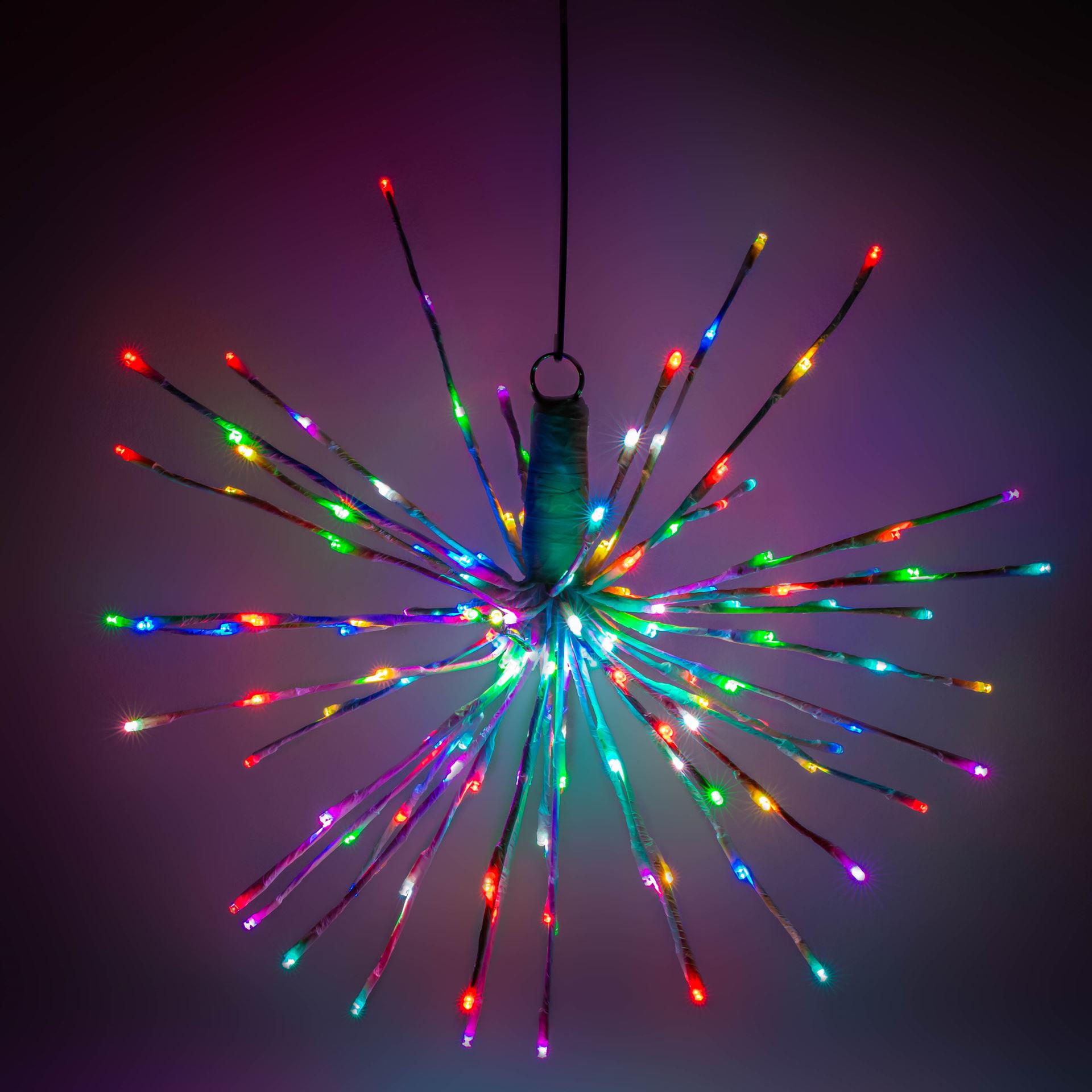 Novelty Lights LED RGB+WW Spritz Branch Light w/ 80 Lights and Remote ...
