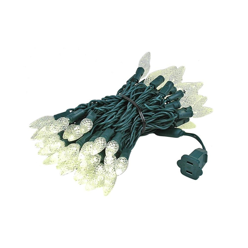 Novelty Lights Warm White True Twinkle (100% Twinkle) C6 LED Christmas ...