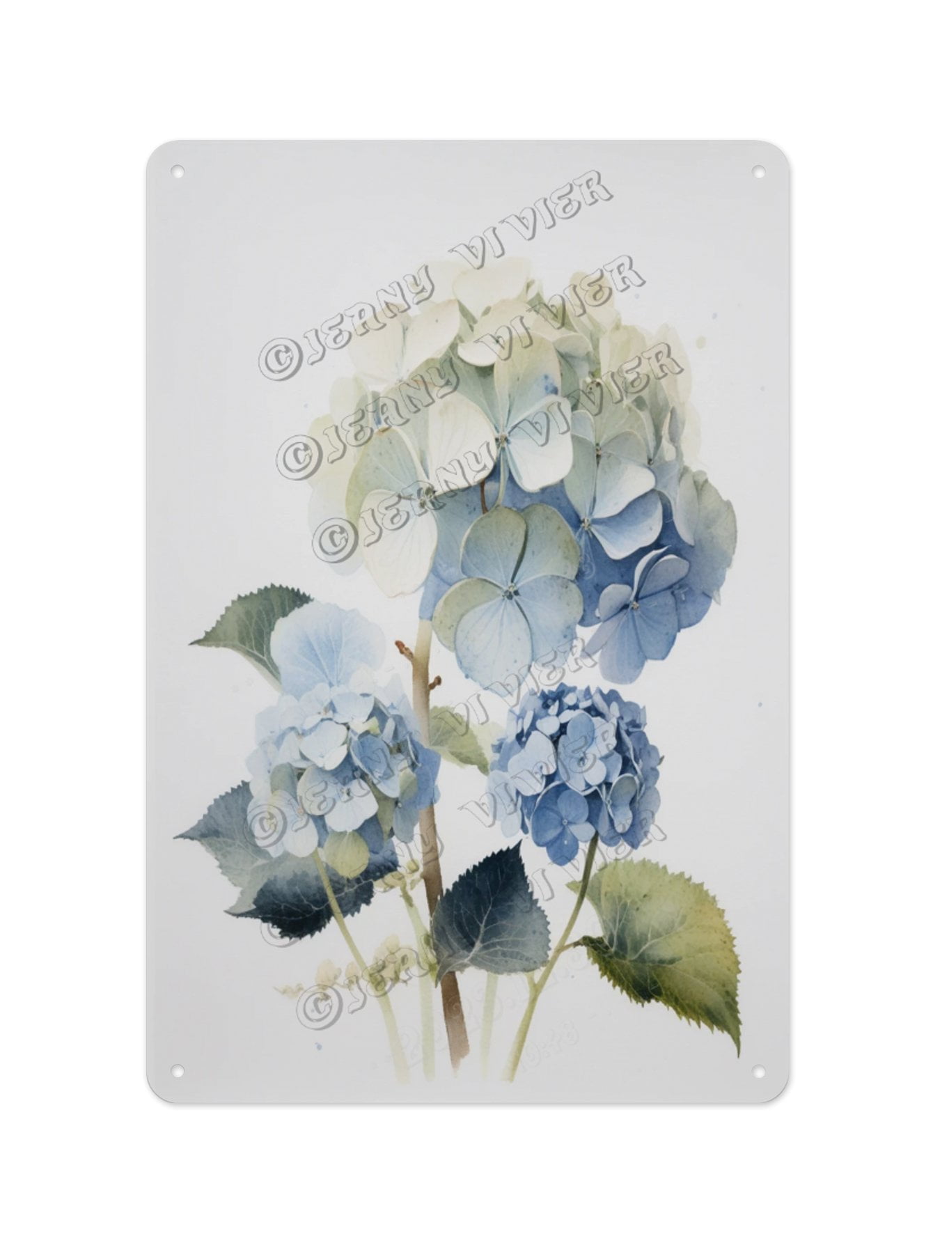 Novelty Metal Sign, Aluminum, 8 x 12 Inches, Watercolor Hydrangea ...