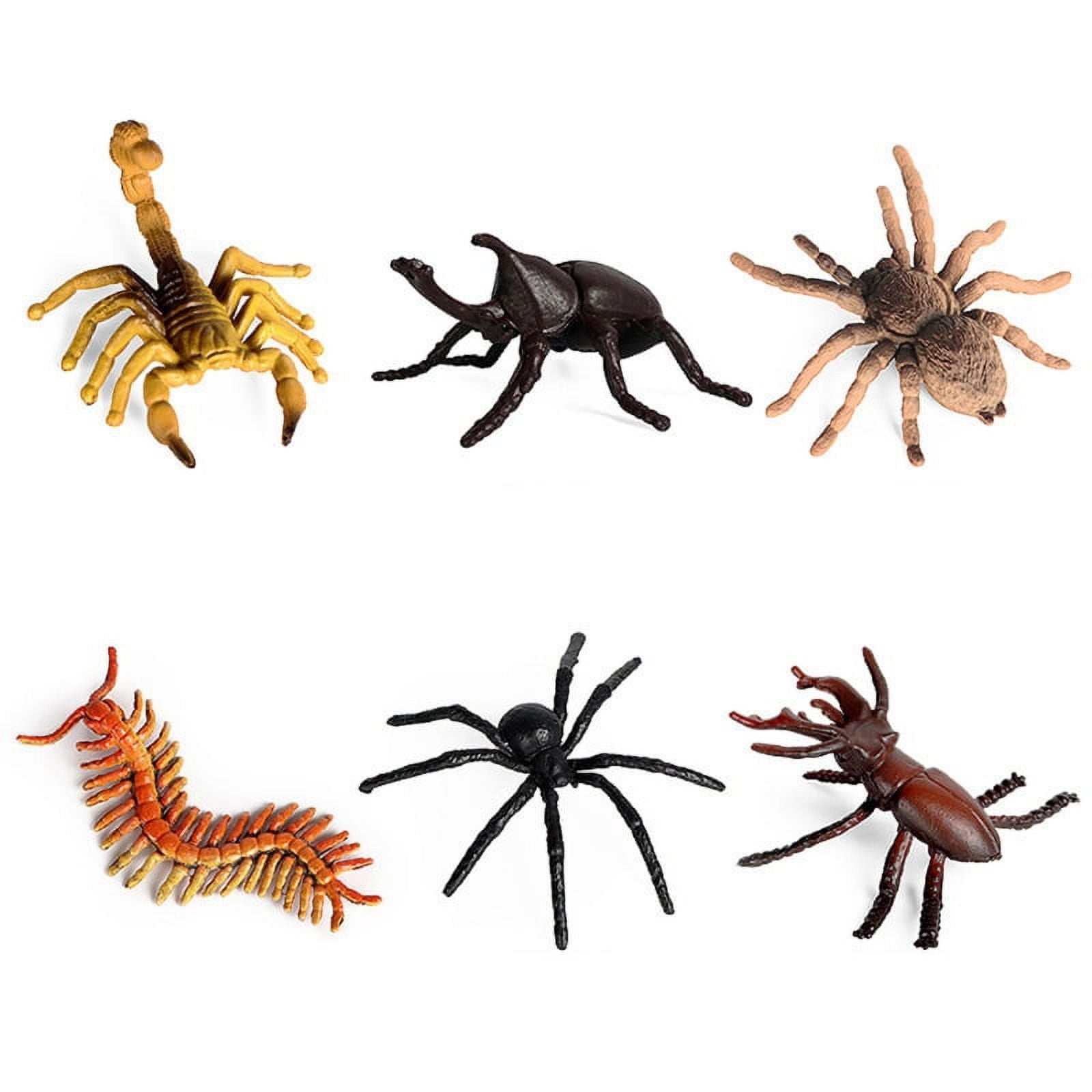 Novelty Mini Scientific Toy 1 Set Realistic Insect Kids Relieve Boredom ...