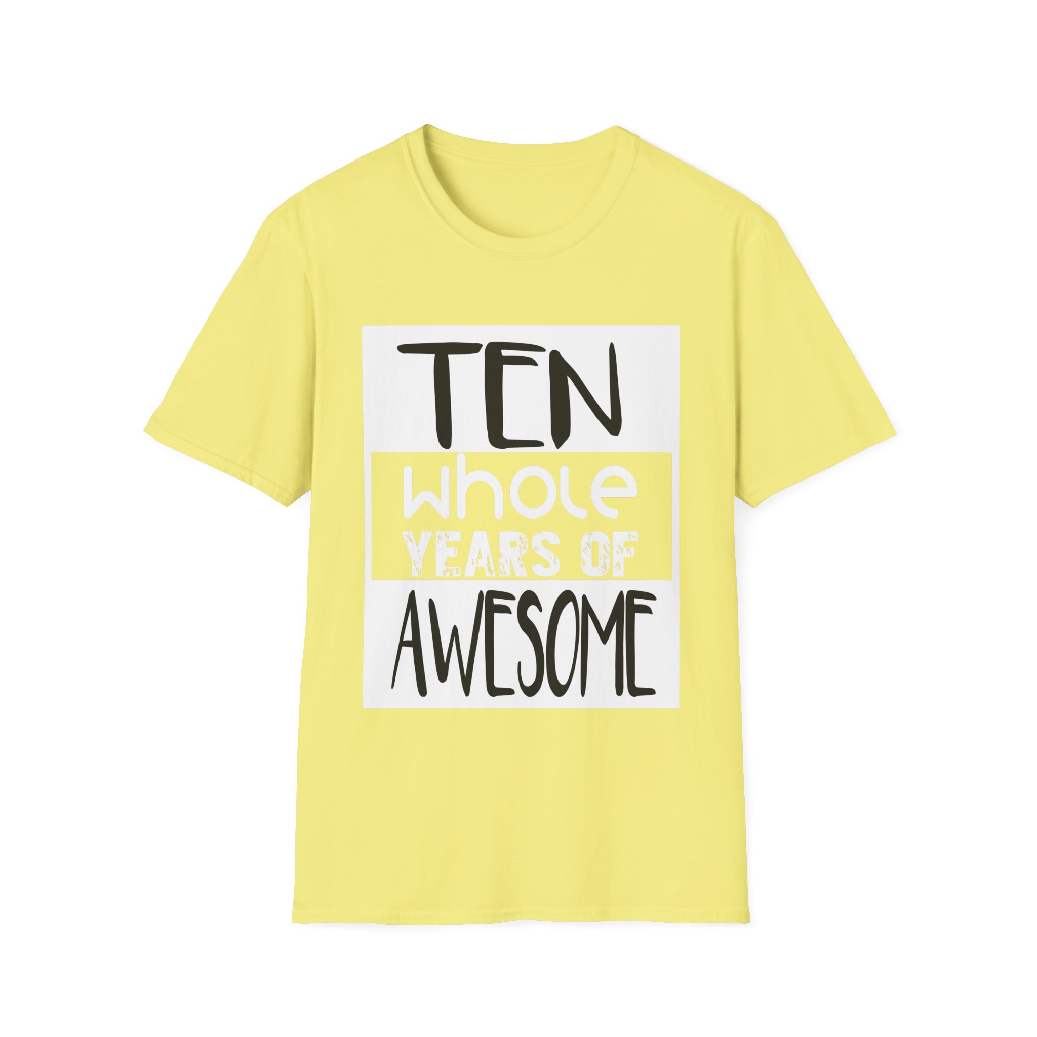 Novelty Of Awesome Present Graphic Gift Funny Ten Whole Years Boys ...