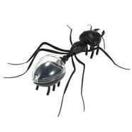 Learning Resources Giant Inflatable Insects, Set of 5 - Walmart.com