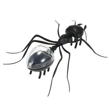 Learning Resources Giant Inflatable Insects, Set of 5 - Walmart.com