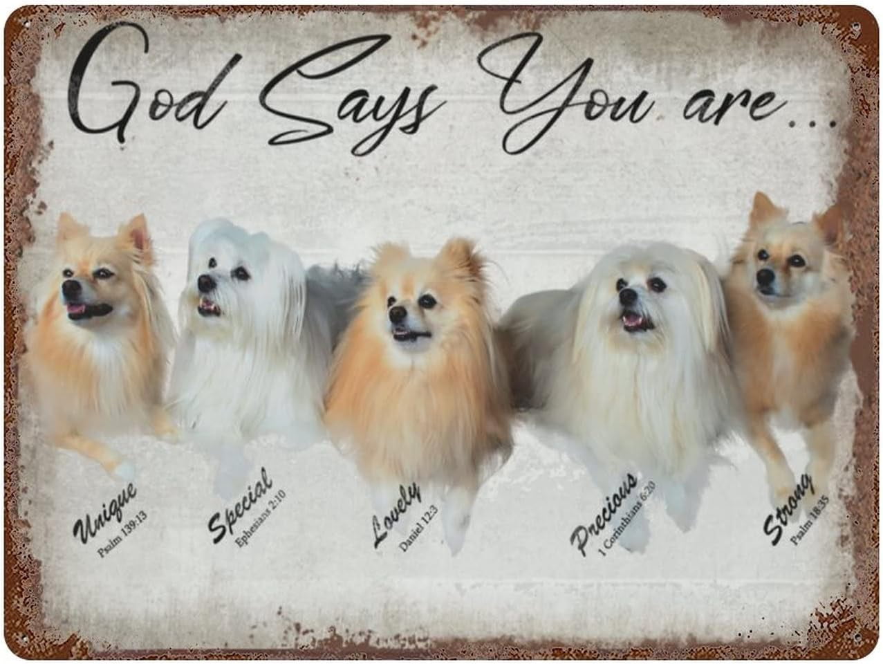 Novelty Tin Sign Dog God Says You Are Wall Art - Inspirational Quote ...