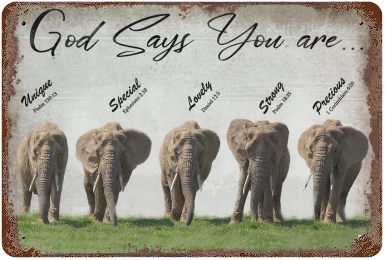 Novelty Tin Sign Elephant God Says You Are Wall Art - Inspirational ...