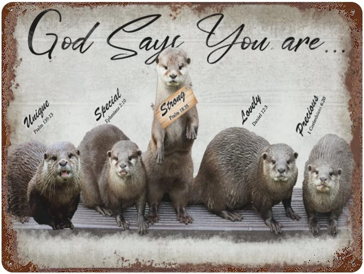 Novelty Tin Sign Otter God Says You Are Wall Art - Inspirational Quote ...