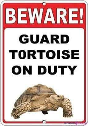 Novelty Warning Metal Tin Sign Beware! Guard Tortoise On Duty Quote ...
