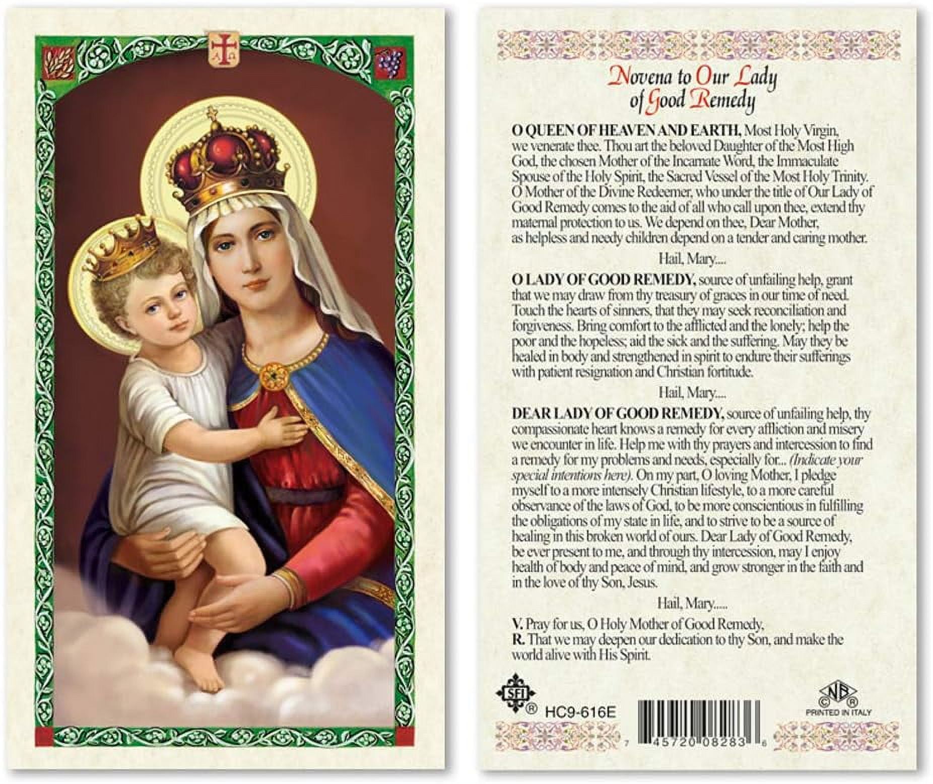 Novena to Our Lady of Good Remedy Laminated Prayer Cards - Pack of 25 ...