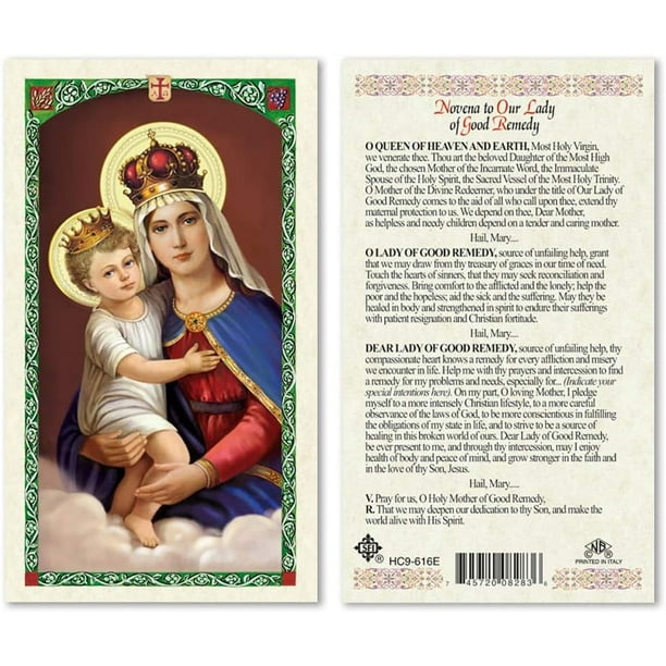Novena to Our Lady of Good Remedy Laminated Prayer Cards - Pack of 25- English - Walmart ...