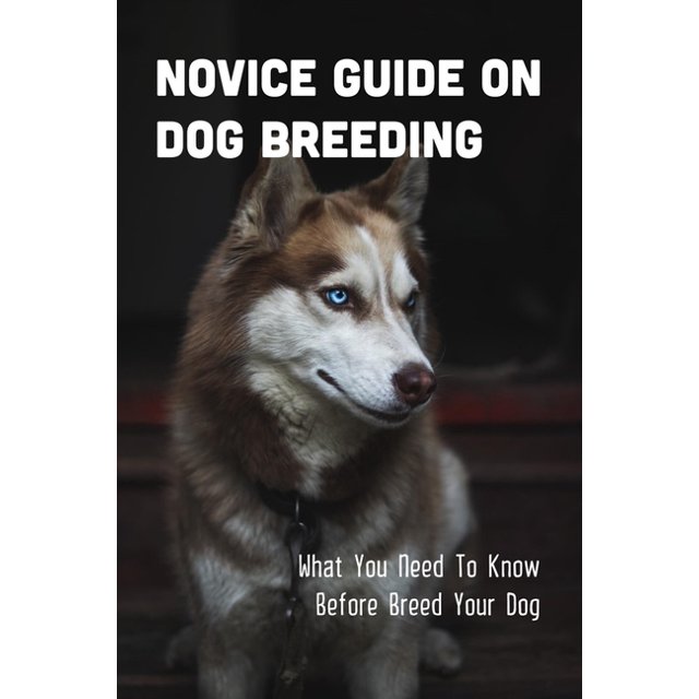 Novice Guide On Dog Breeding: What You Need To Know Before Breed Your ...
