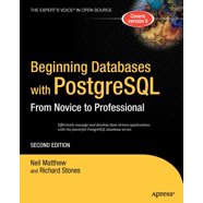 Expert's Voice in SQL Server: Pro SQL Server 2008 Mirroring (Paperback) - Walmart.com