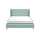 Novogratz Her Majesty Tufted Upholstered Bed Frame, Queen, Light Green ...