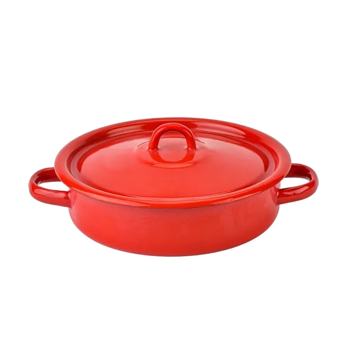 Novomoskovsjka Posuda Enamel Low Casserole Dish with Lid 4 Qt (3.8 L ...